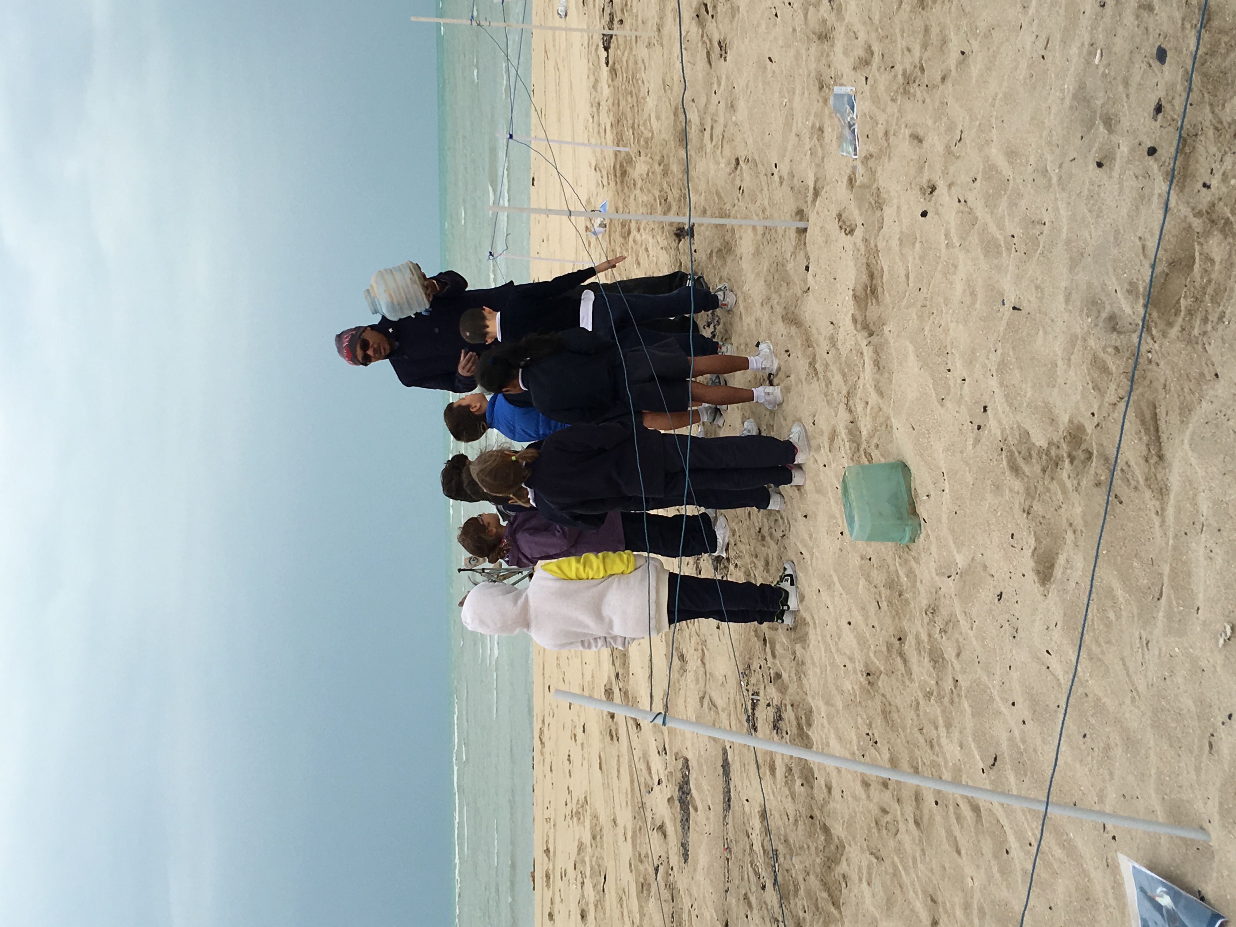 Learning at the Beach « SEK-Qatar Grade 1